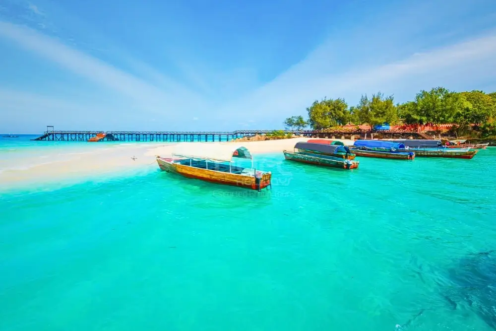 Zanzibar • 4 Days 3 Nights | AFC Holidays Group Tours