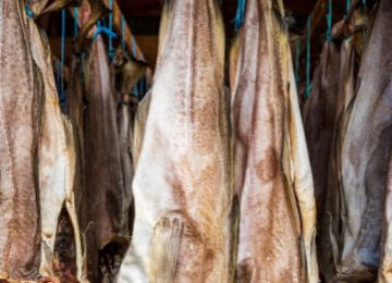 Reykjavik Iceland Tour Package | AFC Holidays Customized Tours