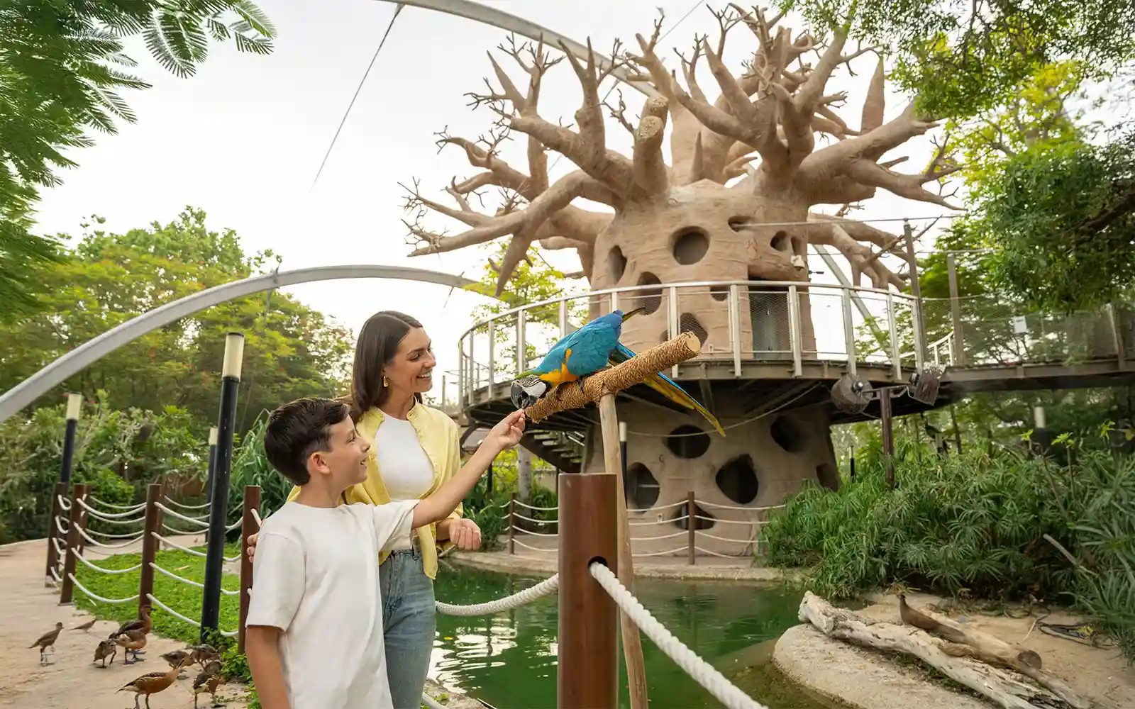 Safari Park Dubai Tickets | Wildlife & Family adventure