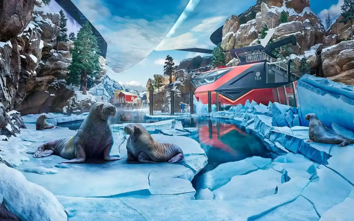 SeaWorld Abu Dhabi | Fun Rides & Incredible Marine Shows
