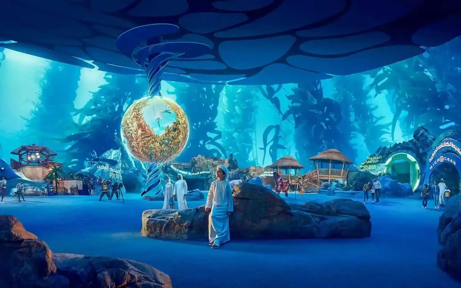 SeaWorld Abu Dhabi | Fun Rides & Incredible Marine Shows
